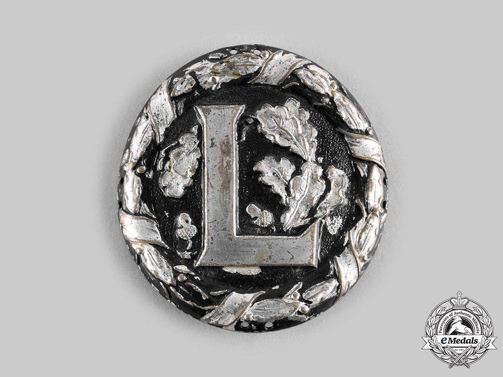 Germany, Weimar Republic. A Freikorps Insignia – eMedals