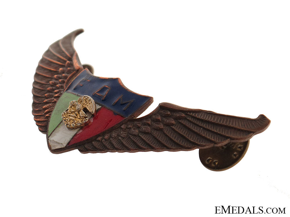 Pre Ww2 Old Mexican Pilot Wing – eMedals